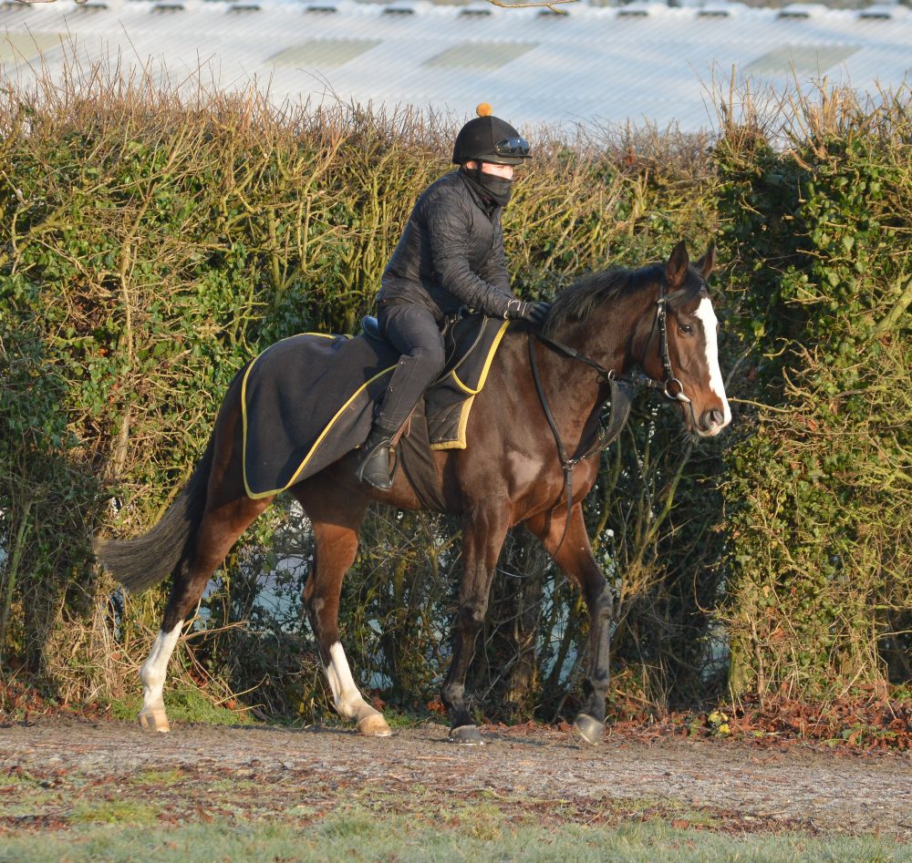 Kingsclere Racing Club - Kingsclere