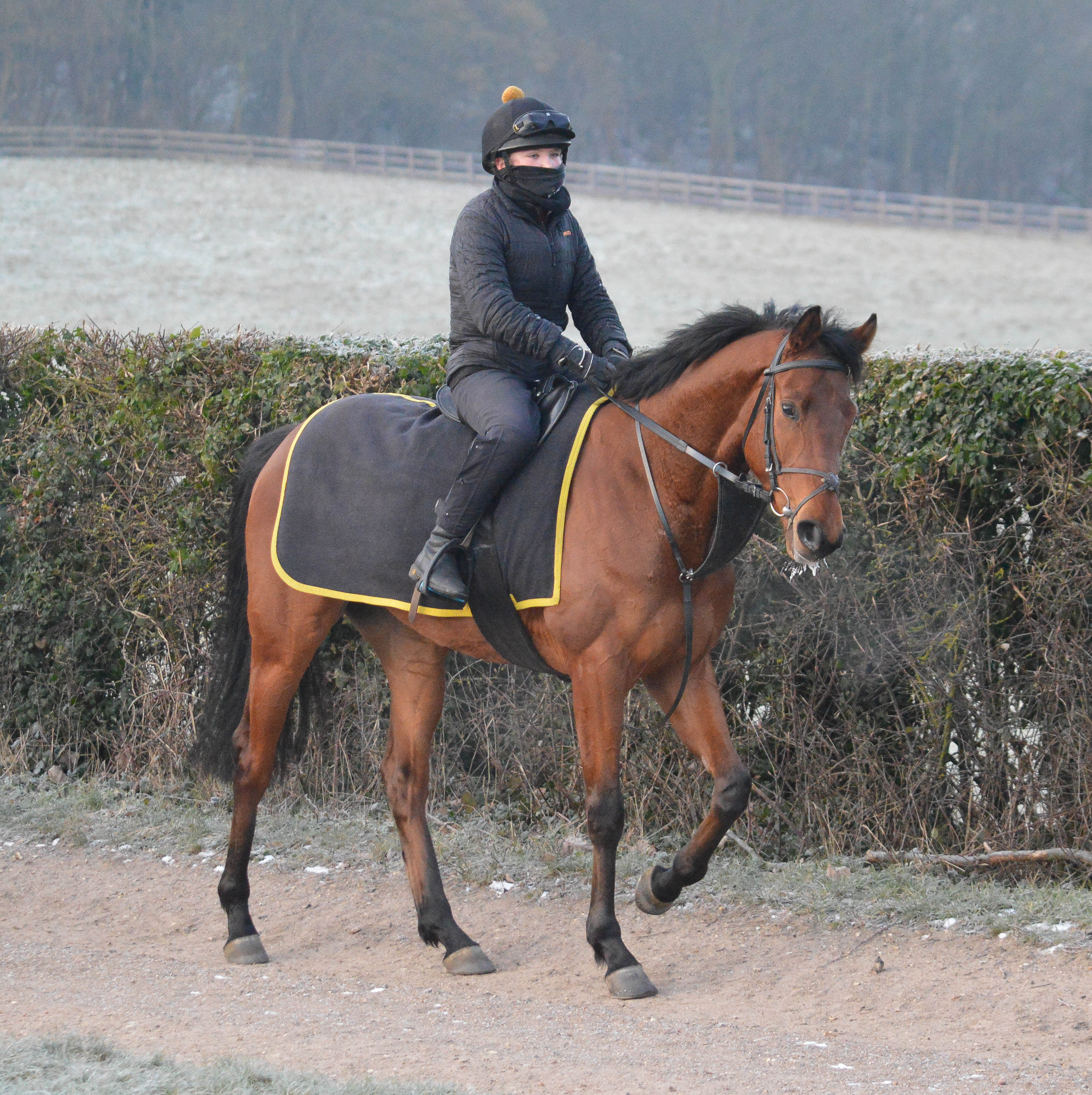 Kingsclere Racing Club - Kingsclere