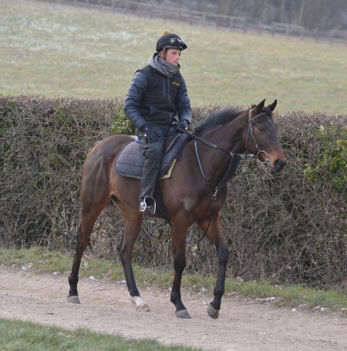 Kingsclere Racing Club - Kingsclere