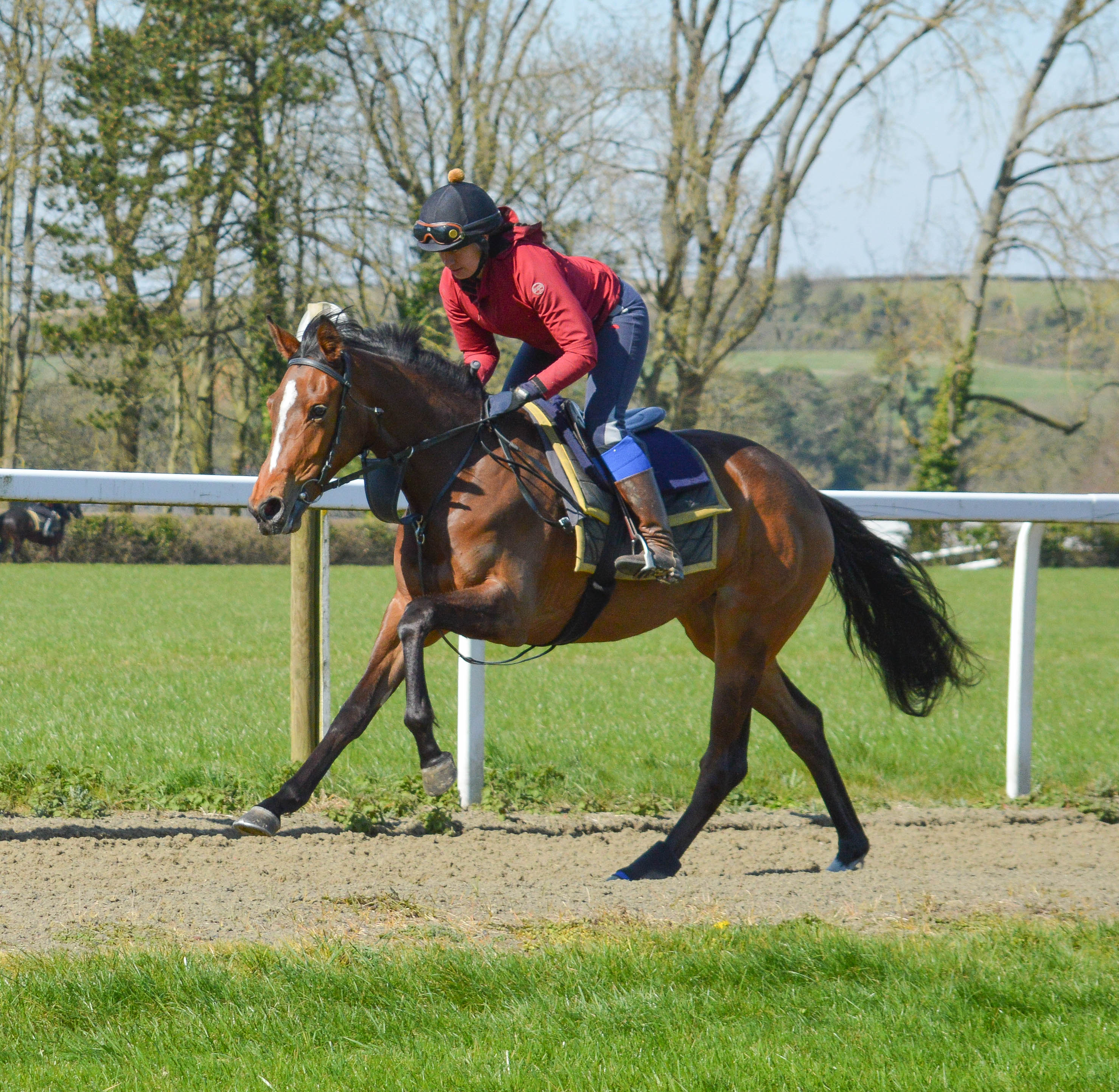 Kingsclere Racing Club - Kingsclere