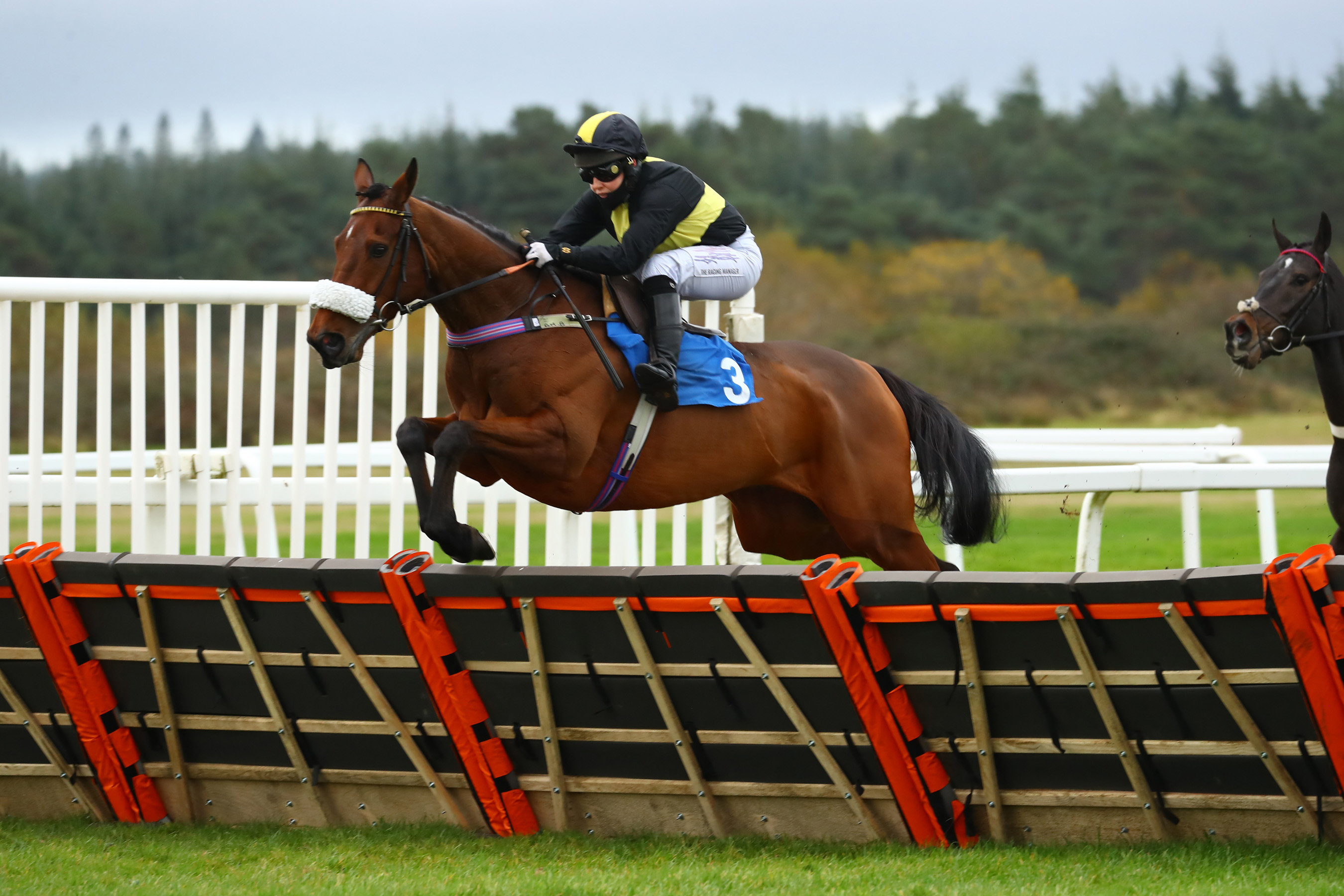 Kingsclere Racing Club - Kingsclere