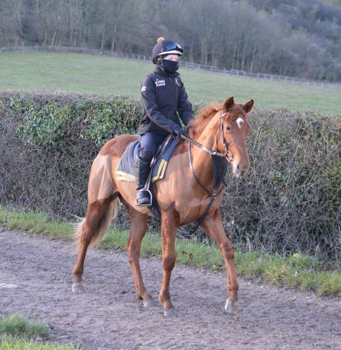 Kingsclere Racing Club - Kingsclere