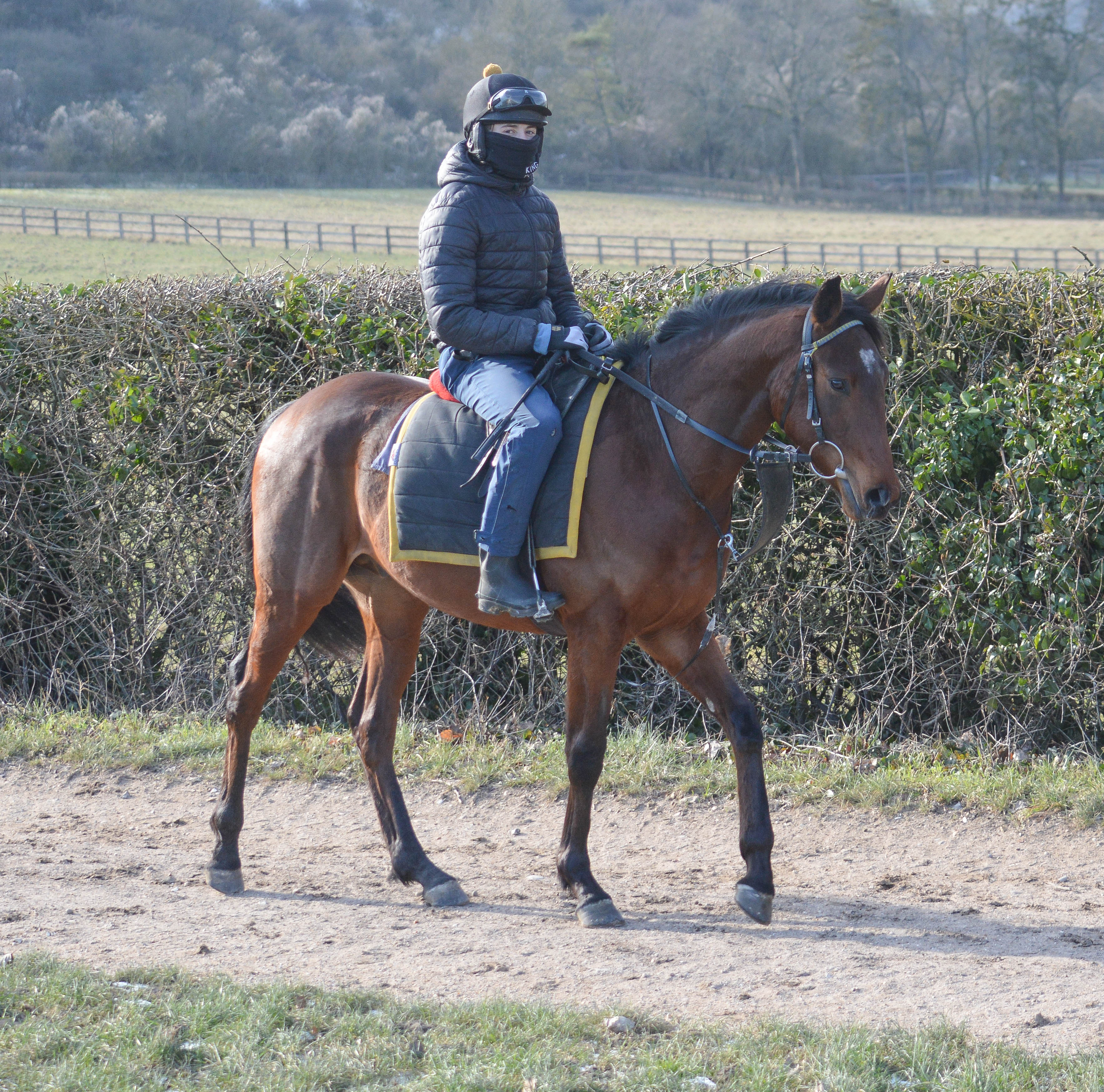 Kingsclere Racing Club - Kingsclere