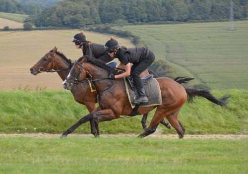 Kingsclere Racing Club - Kingsclere