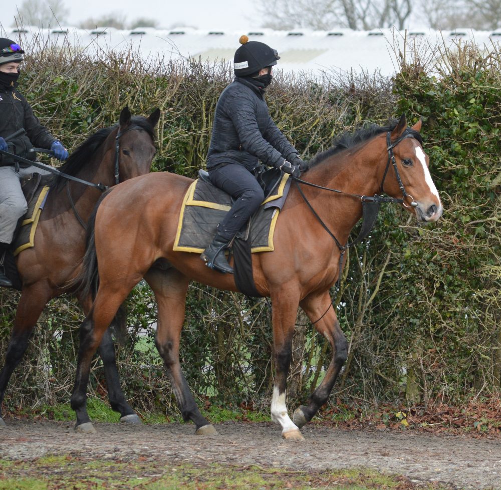 Kingsclere Racing Club - Kingsclere