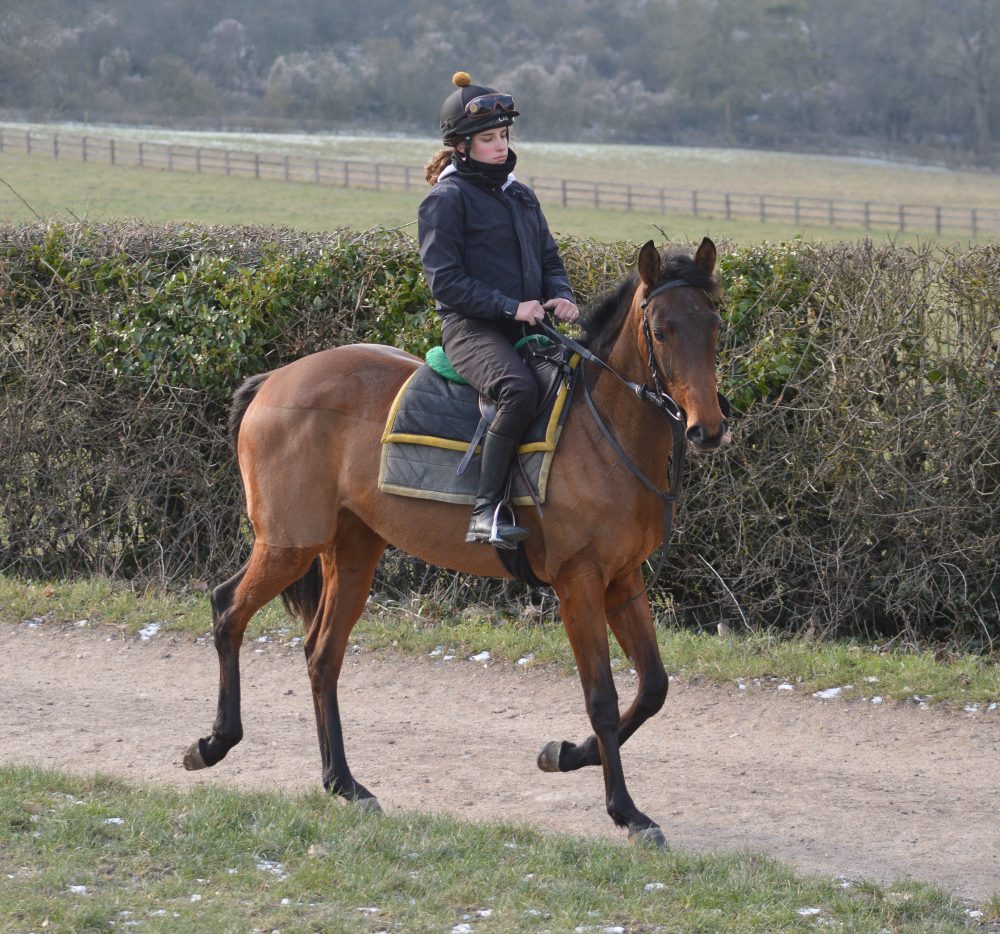 Kingsclere Racing Club - Kingsclere