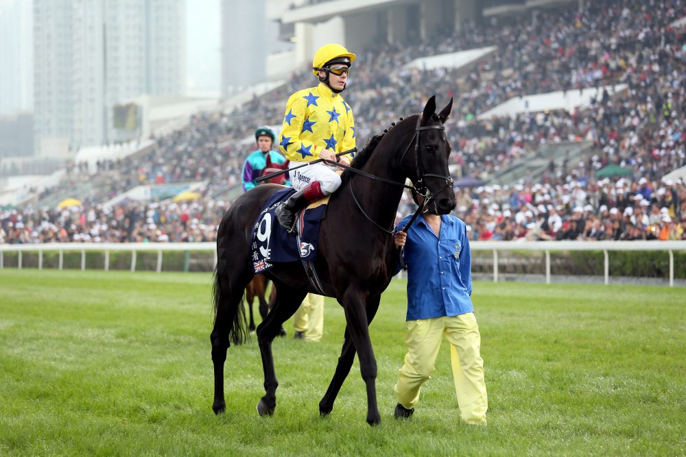 Past Stars - Kingsclere