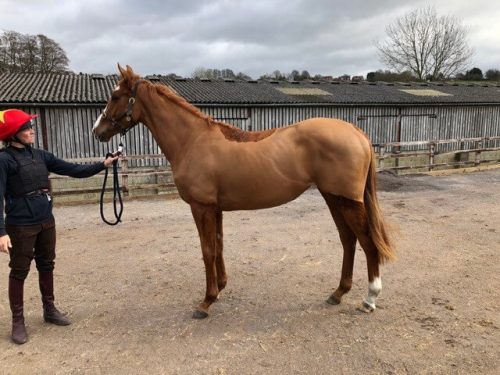 Kingsclere Racing Club - Kingsclere