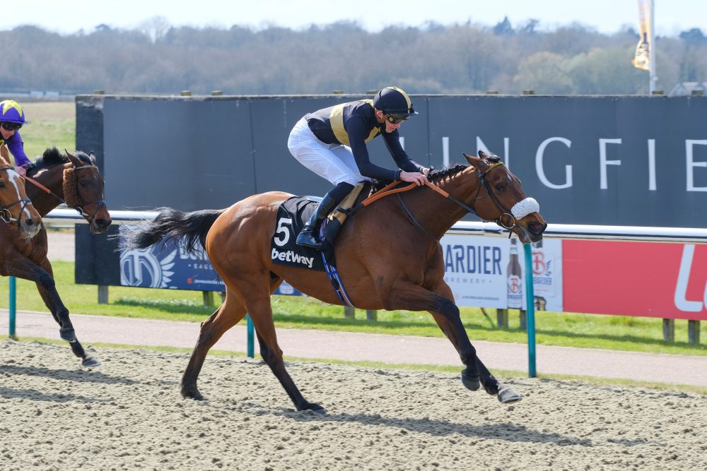 Kingsclere Racing Club - Kingsclere