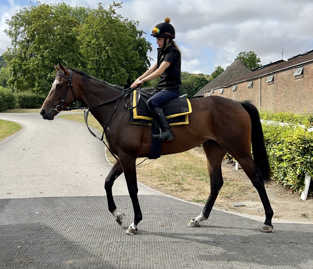 Kingsclere Racing Club - Kingsclere