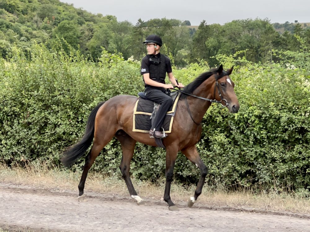 Kingsclere Racing Club - Kingsclere