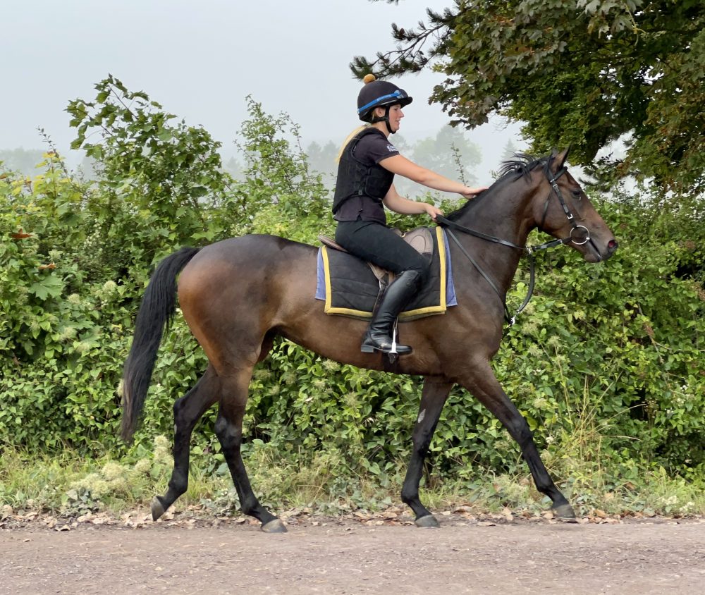 Kingsclere Racing Club - Kingsclere