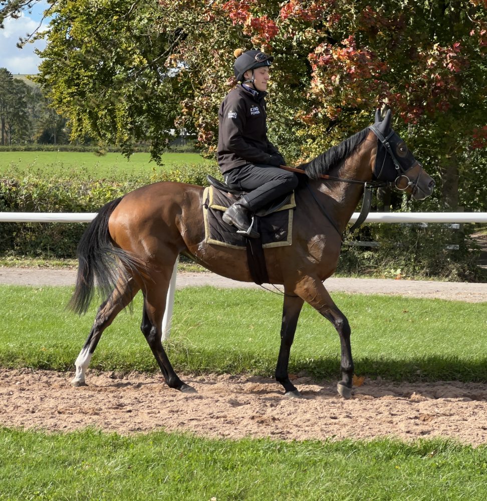 Kingsclere Racing Club - Kingsclere