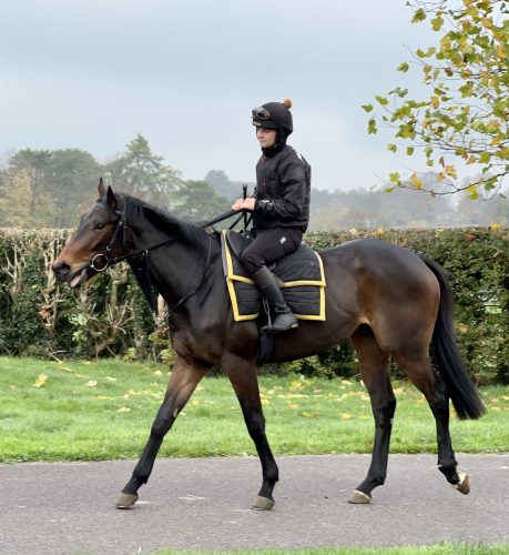 Kingsclere Racing Club - Kingsclere