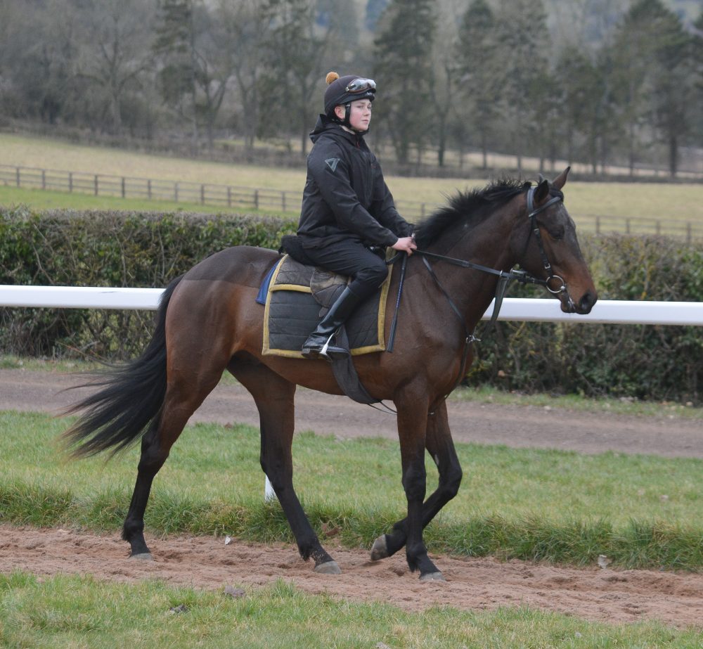 Kingsclere Racing Club - Kingsclere